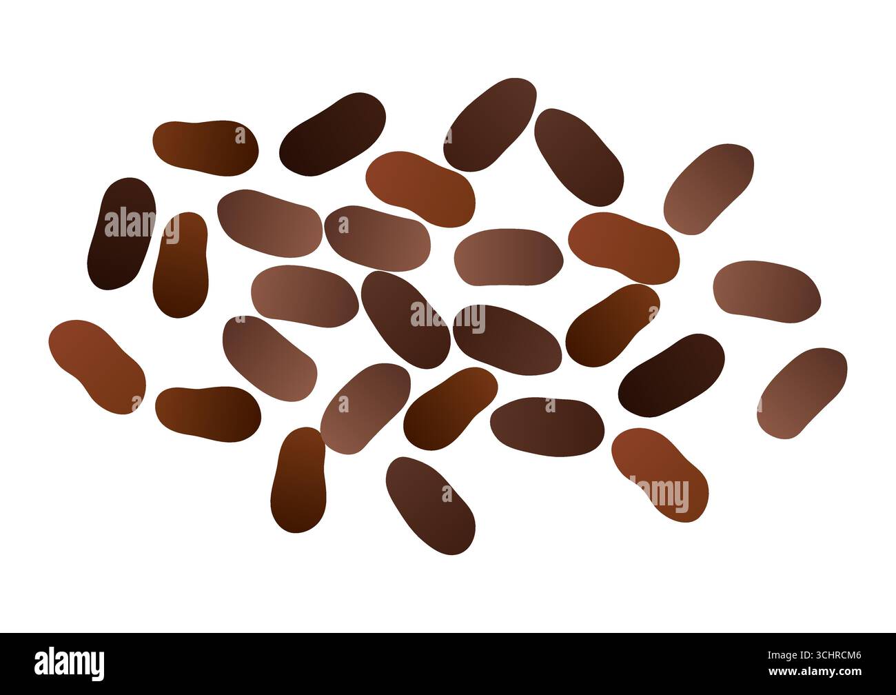 Cocoa beans Vector Illustration Isolated on White Background Stock ...