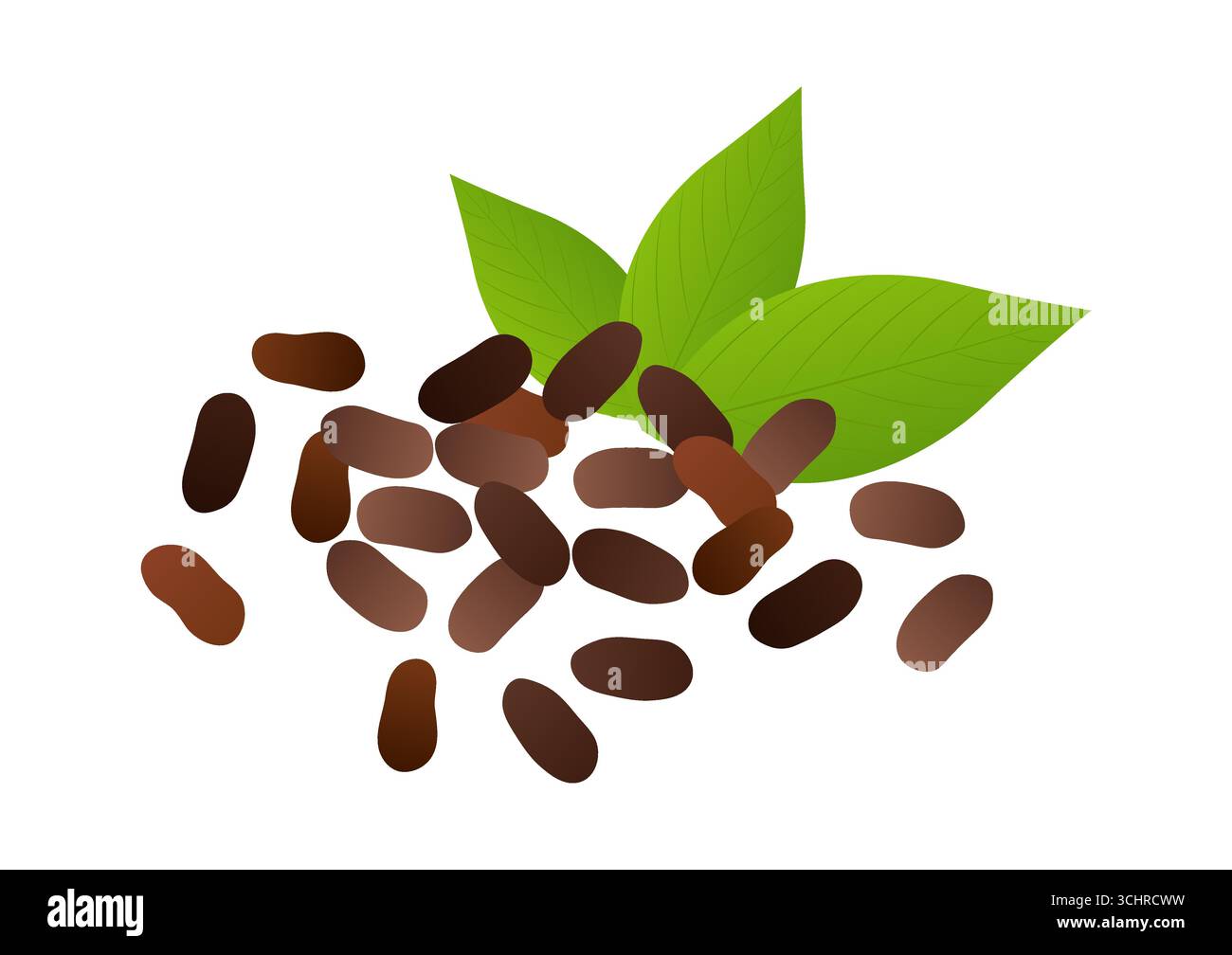 Cocoa beans with Leaf Vector Illustration Isolated on White Background ...