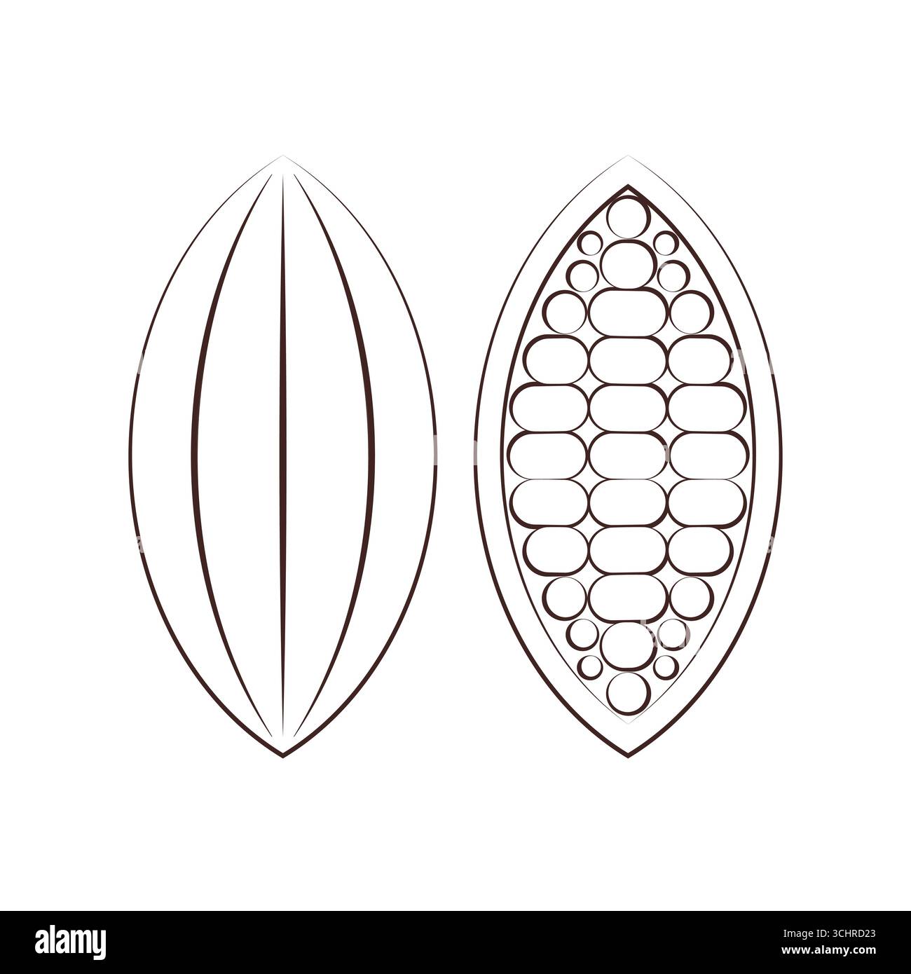 Cocoa bean Logo. Cocoa Icon. Chocolate Cocoa Symbol. Vector ...