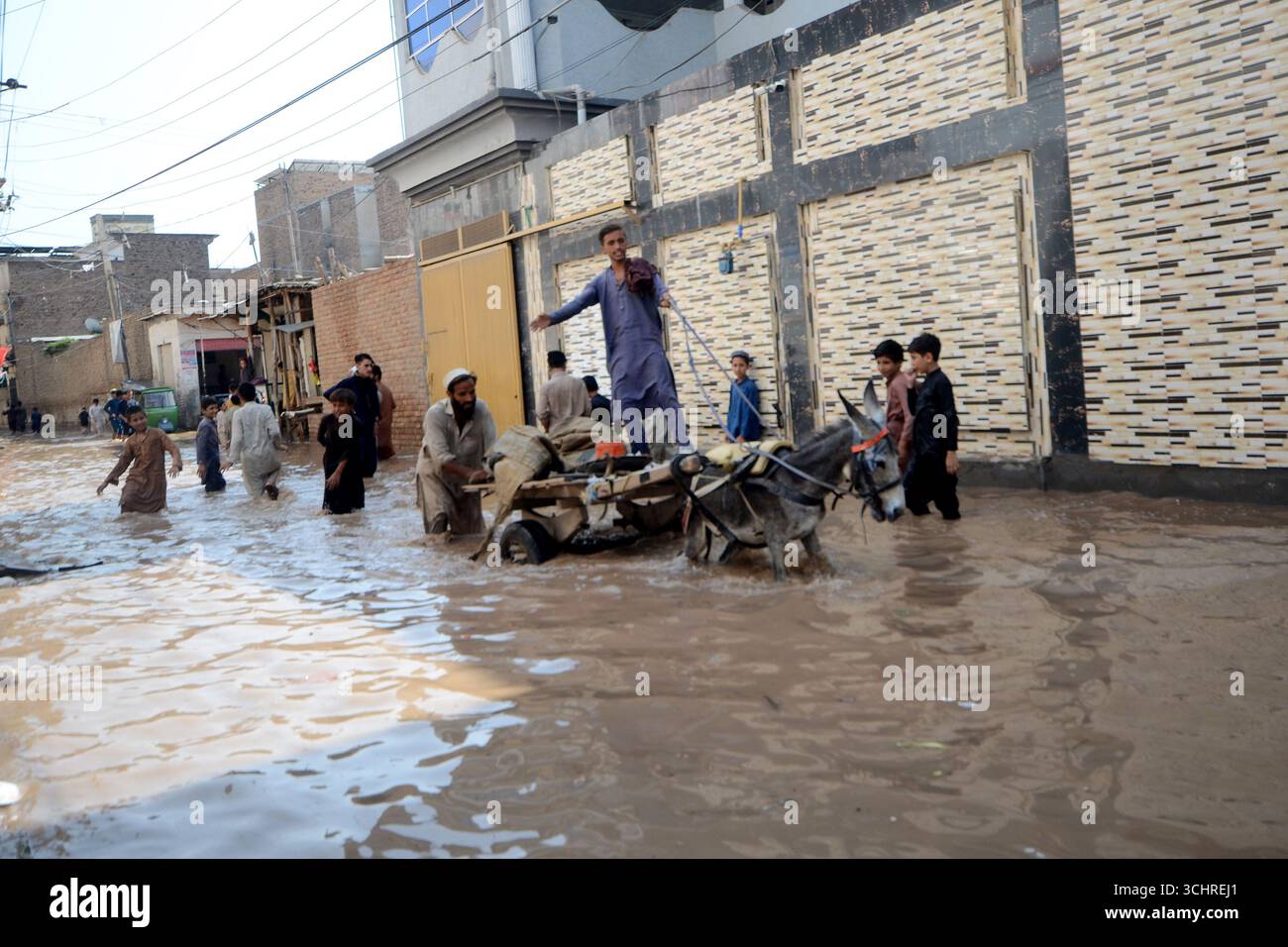 Peshawar, Peshawar, Pakistan. 2nd Sep, 2025. PESHAWAR, PAKISTAN ...