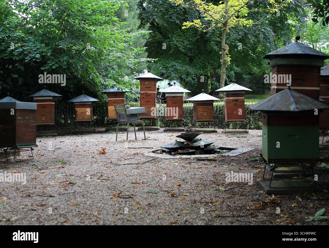 Bee hives in the Jardin de Luxembourg, Paris, France Stock Photo - Alamy