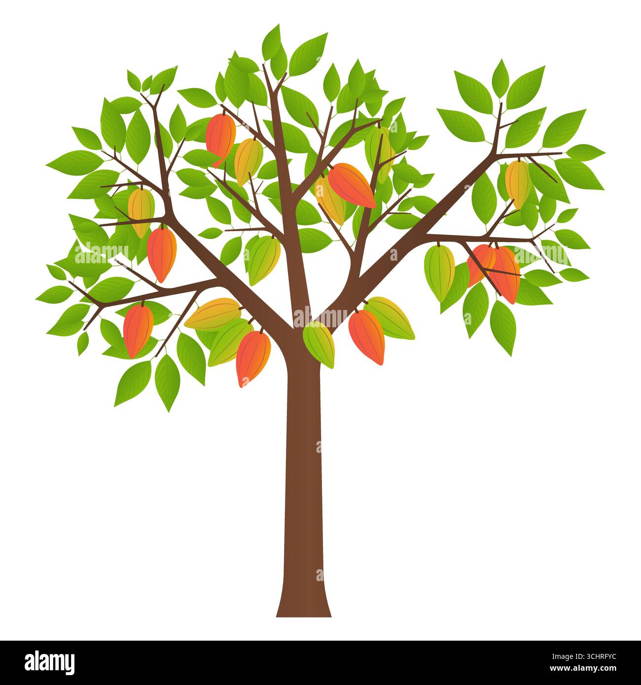 Freshly harvest Stock Vector Images - Alamy