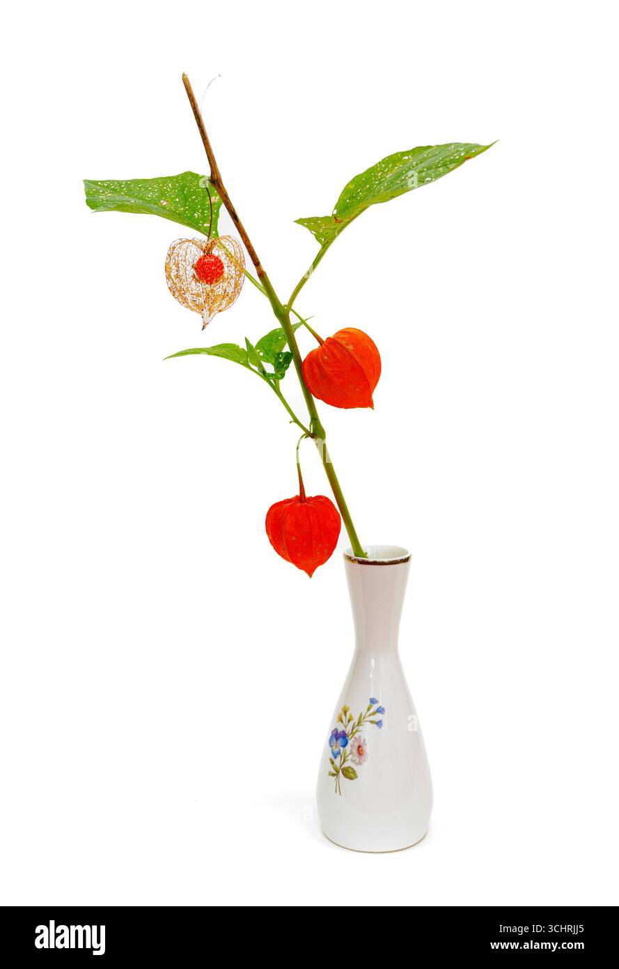 Red chinese lantern in Cut Out Stock Images & Pictures - Alamy