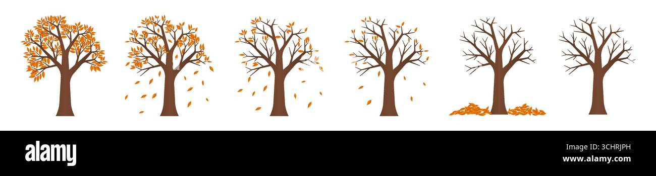 Autumn Tree Set With Fallen Leaves. Vector Illustration Isolated on ...