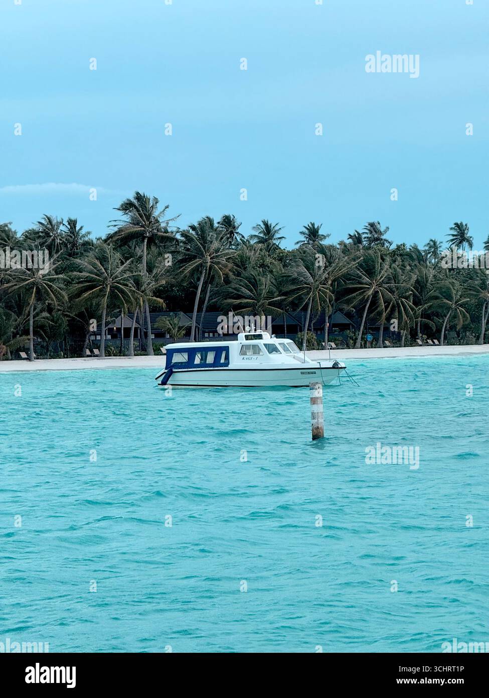 Maldives, palm trees and a view of the coast, a boat in the ocean Stock ...