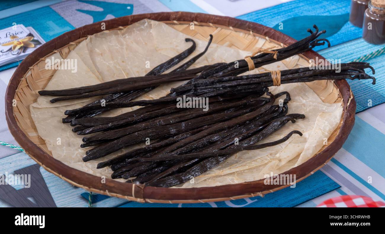 Pure dried vanilla beans, spice derived from orchids of genus Vanilla ...