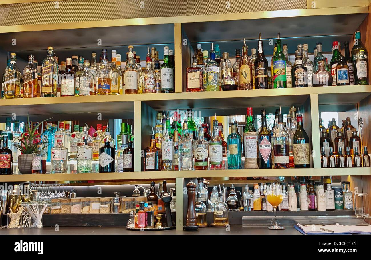 enjoying of alcoholic drinks and beverages in a cocktail bar drinks in ...