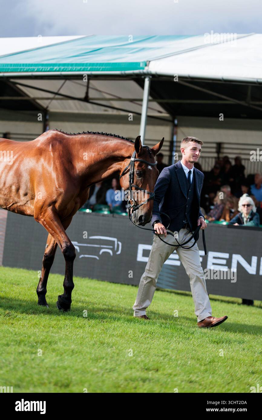 Tom Jackson of Great Britain with Hawk Eye during the first horse ...