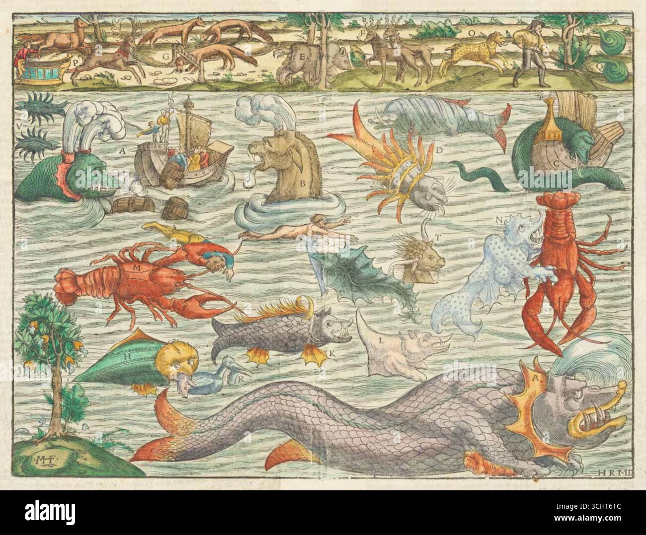 Mythical sea creatures hi-res stock photography and images - Alamy