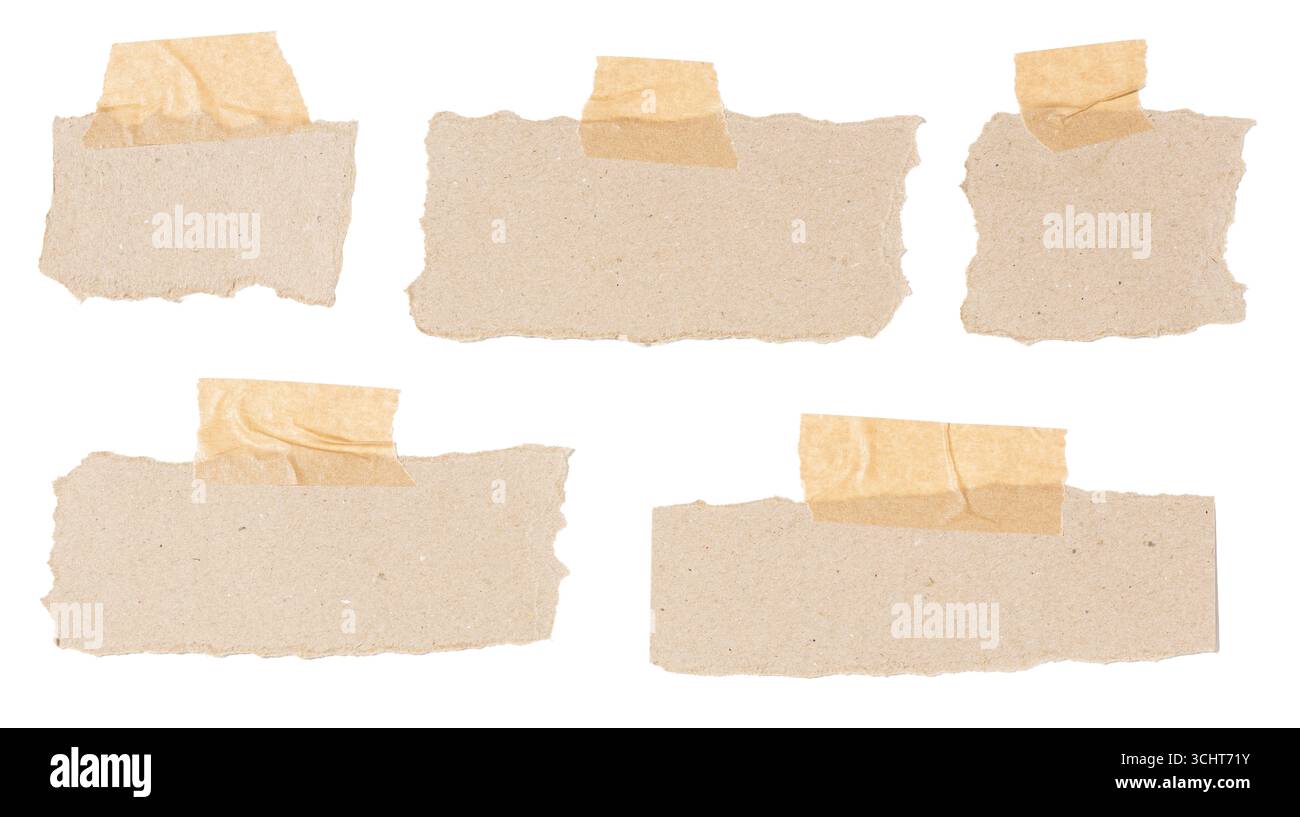 Set of a variety of blank cardboard notes with irregular borders ...