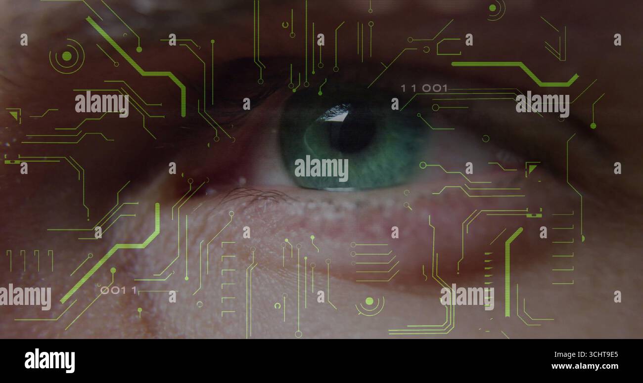 Displaying human iris showing binary data in virtual interface, with ...