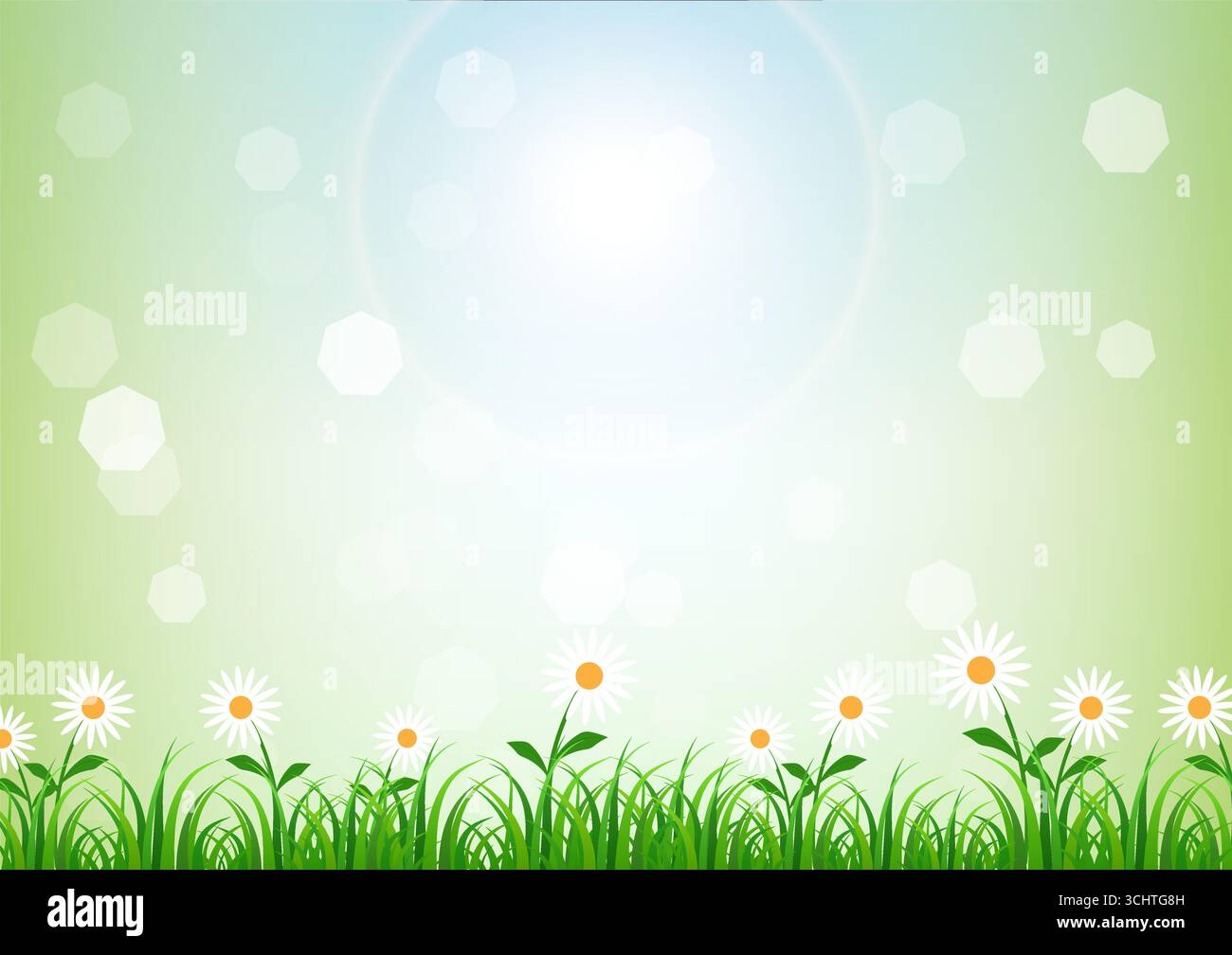 Summer Spring Background. Green Natural background During Spring Time ...