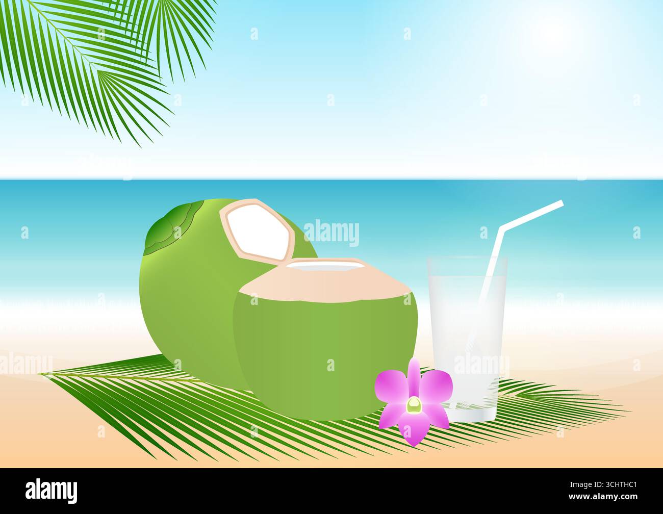 Coconut Juice or Coconut Water Drink, Coconut Cocktail on Beach. Vector ...