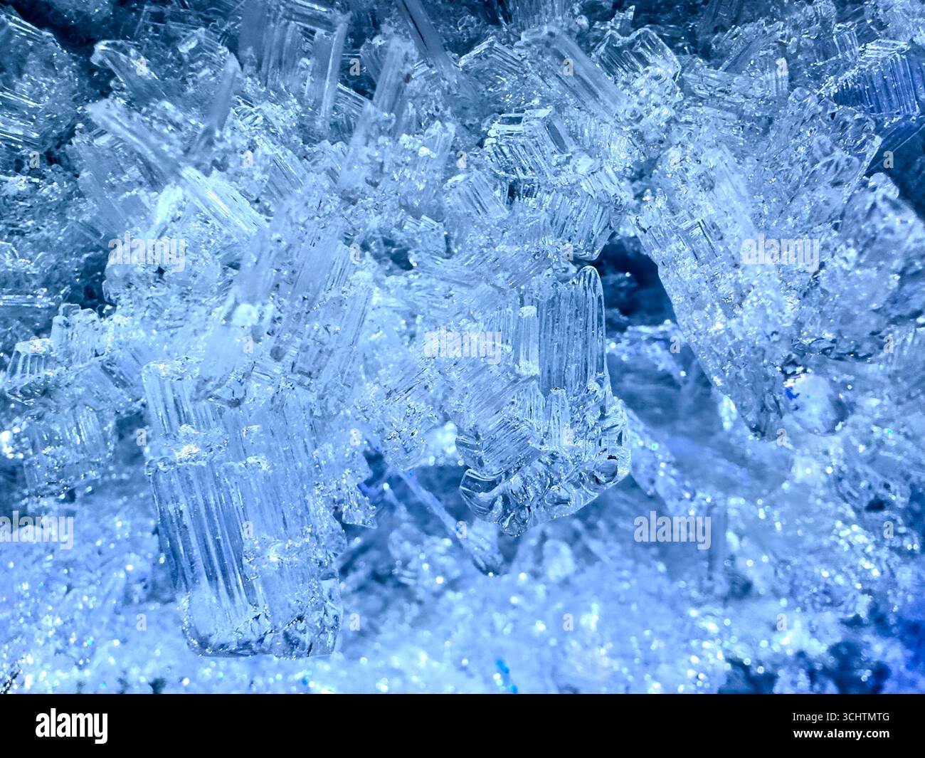 Showcasing intricate forms hi-res stock photography and images - Alamy
