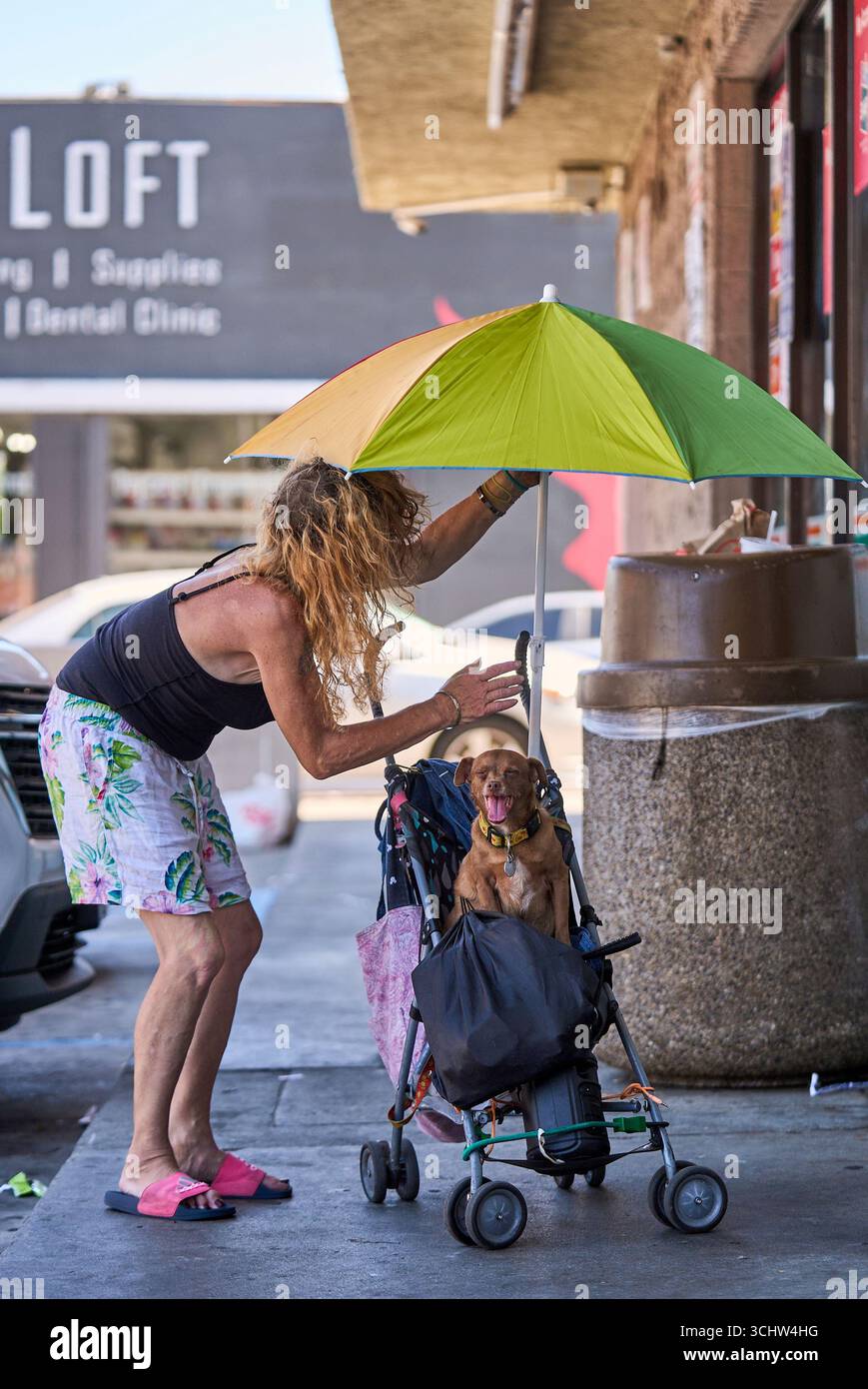 Sandra tries to keep her dog, Rocco cool under an umbrella as they face ...