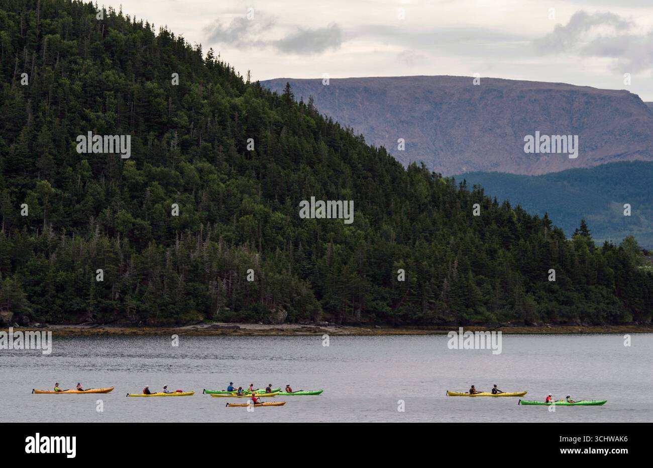 Kayakers in Neddy Harbour paddle through in Gros Morne National Park ...