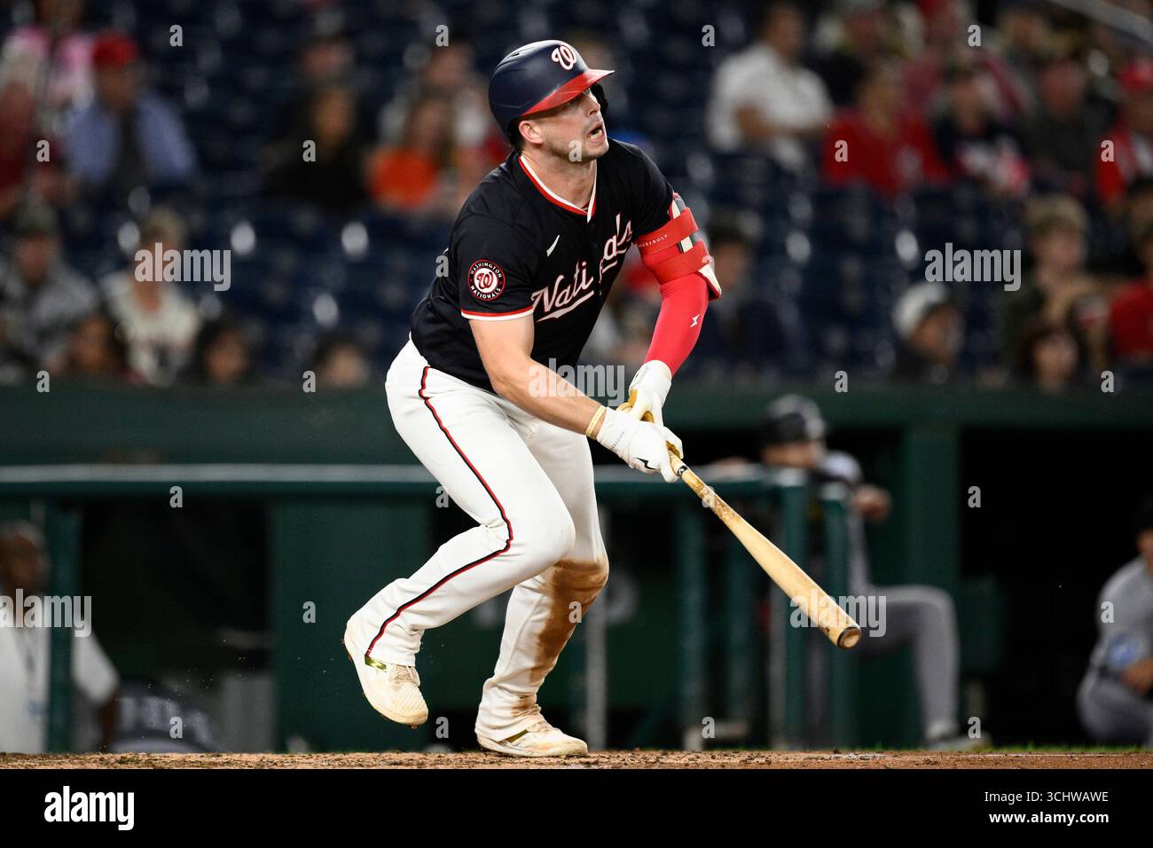 Washington Nationals' Riley Adams in action during a baseball game ...