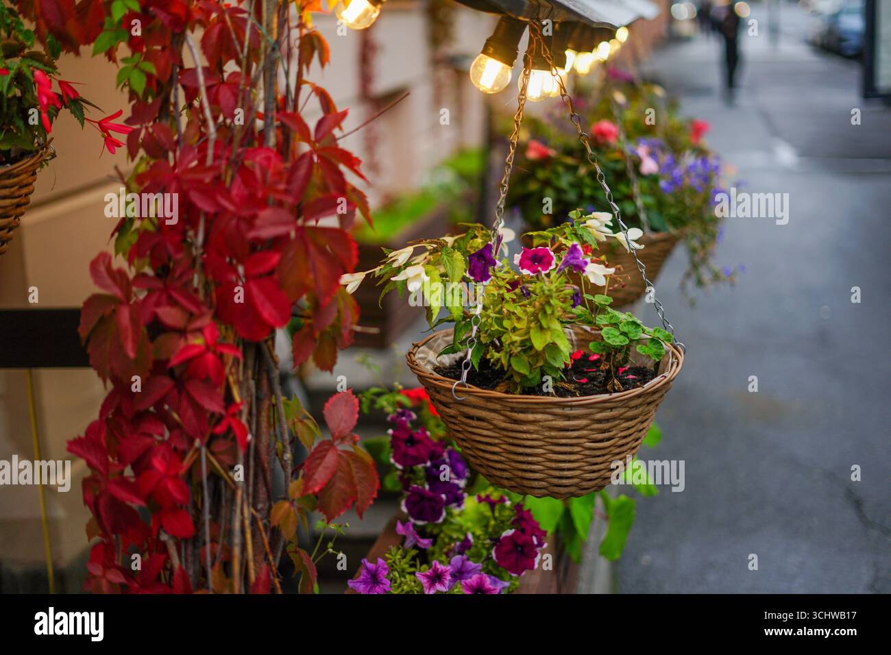 Hanging Baskets with Colorful Flowers and Red Foliage Stock Photo - Alamy