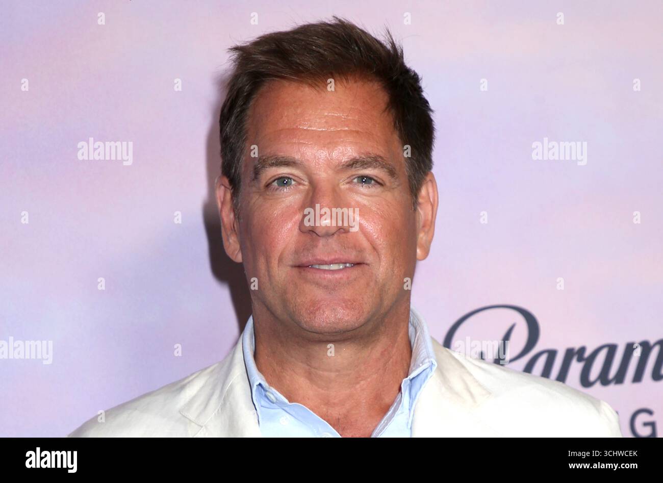 Michael Weatherly attending the 'NCIS: Tony & Ziva' New York Premiere ...