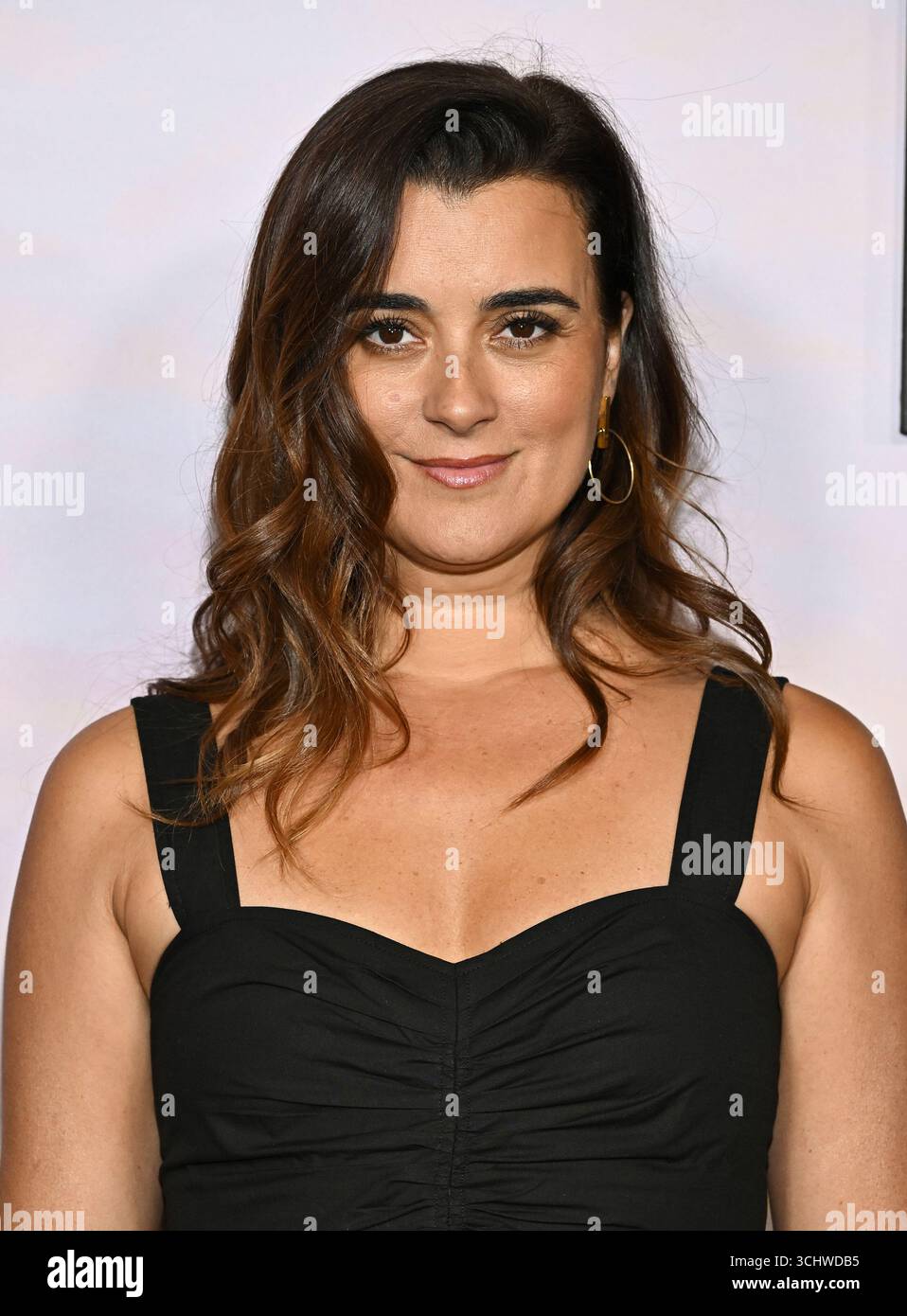 Cote de Pablo attends the "NCIS: Tony & Ziva" red carpet photo call at ...
