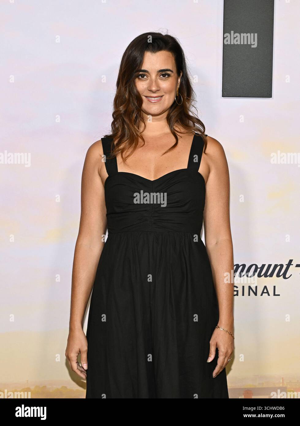 Cote de Pablo attends the "NCIS: Tony & Ziva" red carpet photo call at ...