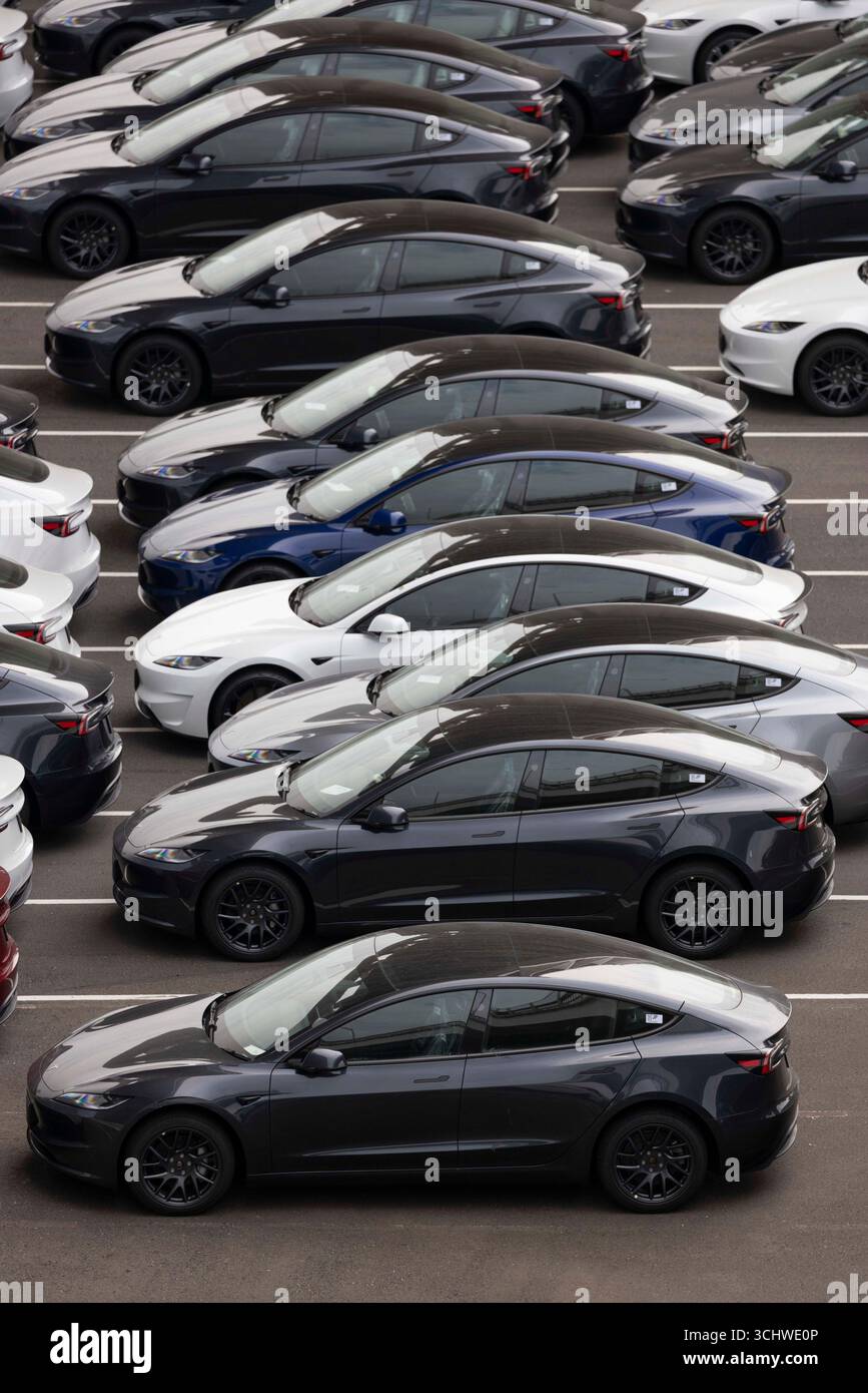 Imported Tesla cars are parked on Daikokufuto island inside Tokyo Bay ...