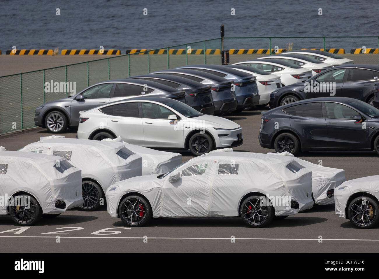 Imported Tesla and Aston Martin cars are parked on Daikokufuto island ...