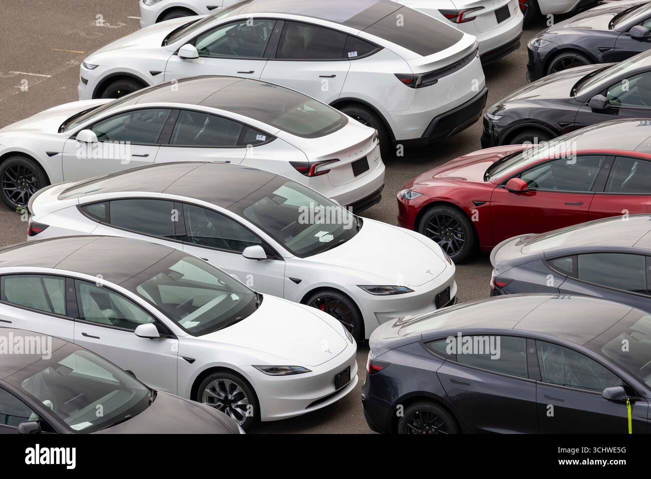Yokohama, Japan. 28th Aug, 2025. Imported Tesla cars are parked on ...