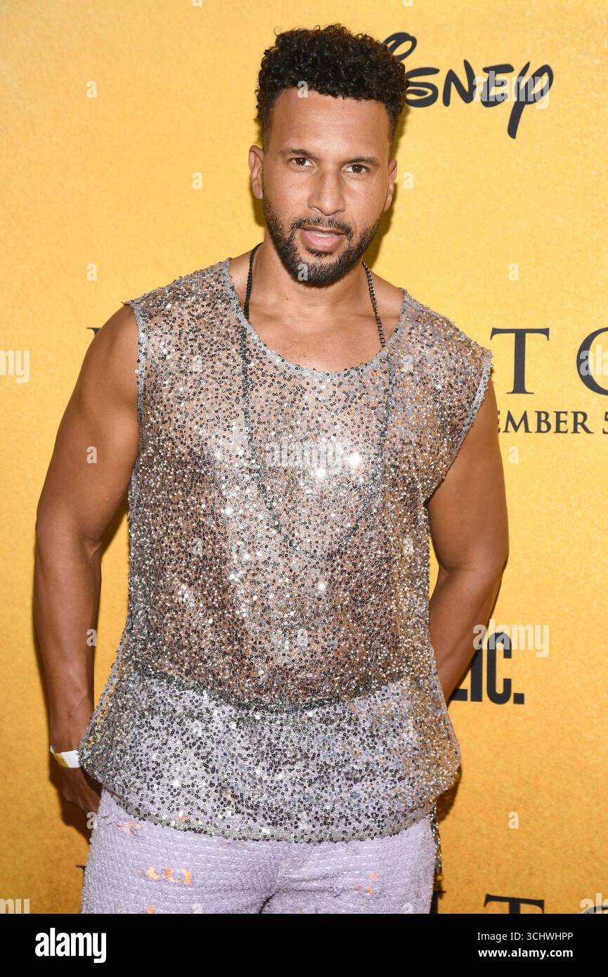 Sydney James attends the New York Special screening of 'Hamilton' at ...