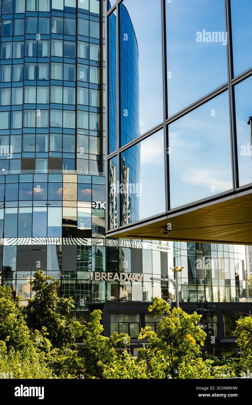 Modern Architectural Reflection: A Blend of Glass Facades and Lush ...
