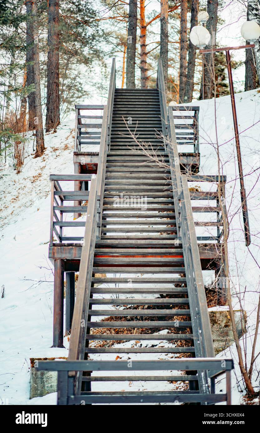 wooden staircase leading uphill through snowy forest landscape in ...