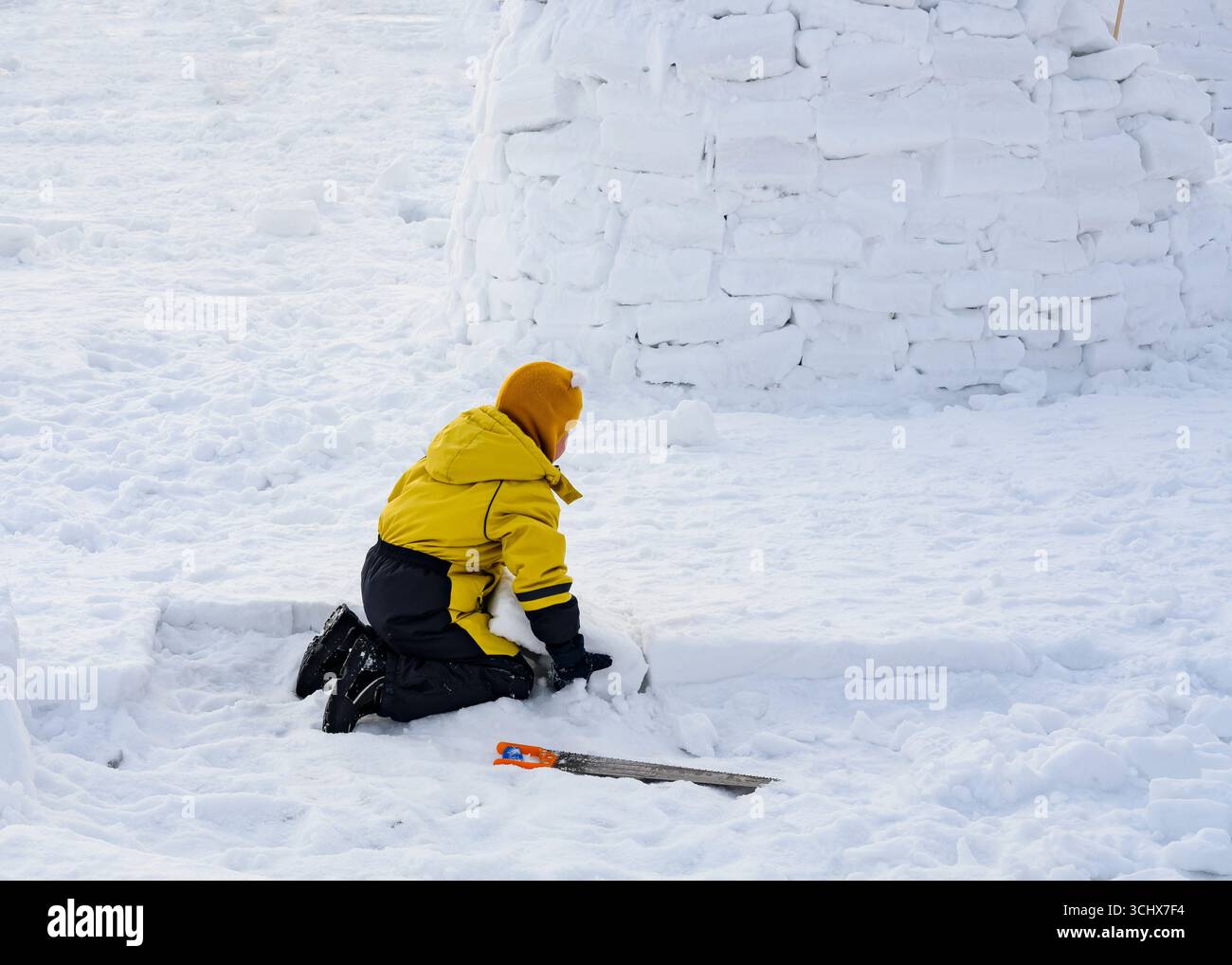 The boy carves blocks out of ice to build an igloo, a national shelter ...