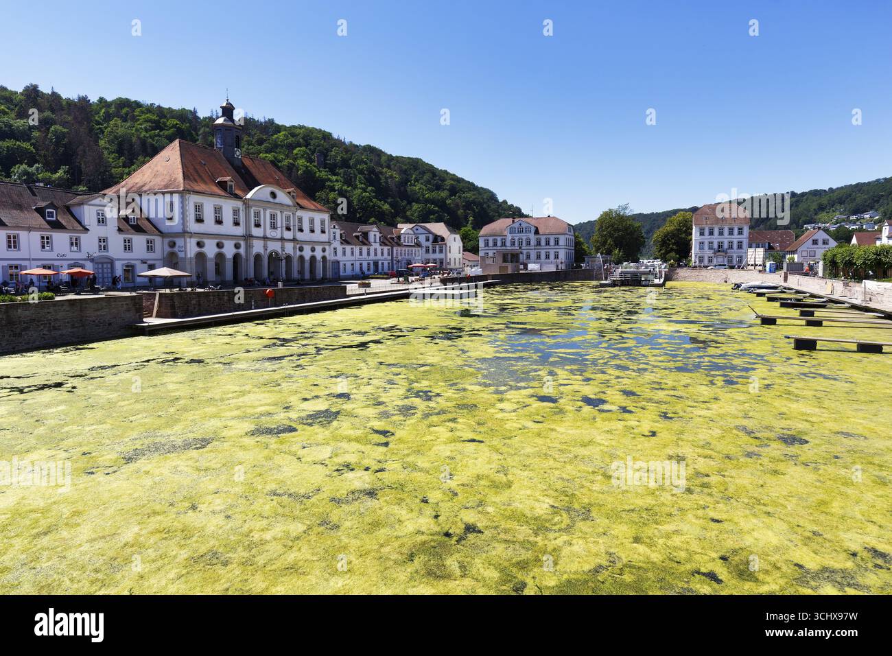 Algae, summer green algae bloom, phosphorus and nitrogen cause algae ...