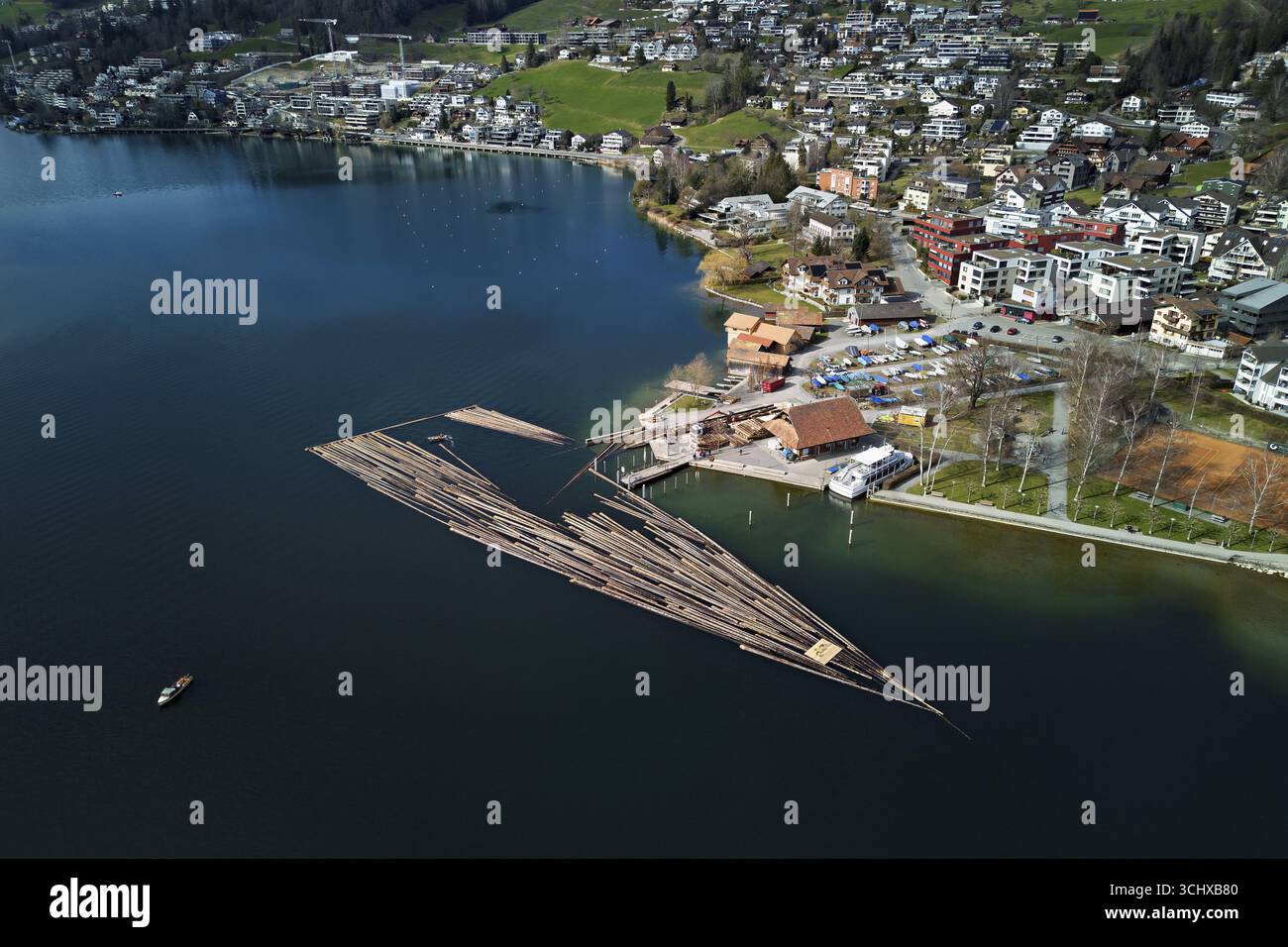 Raft of felled tree trunks at the landing stage where the trunks are ...