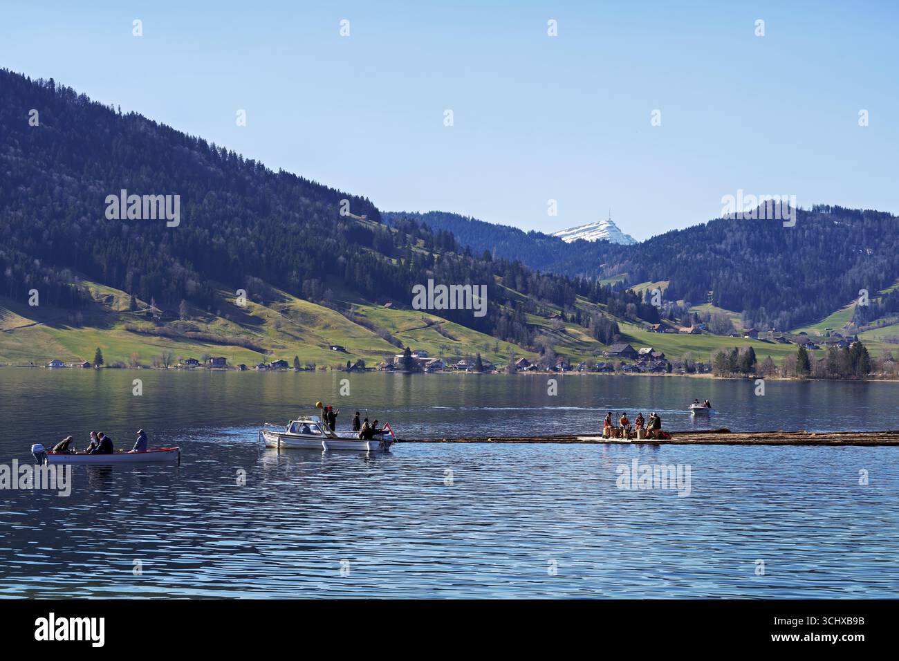 Forestry workers float a raft of felled tree trunks from the Bergmatt ...