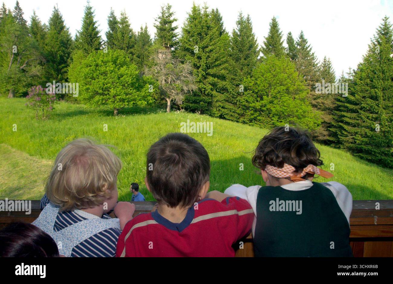 siblings growing up together in childhood as part of family siblings ...