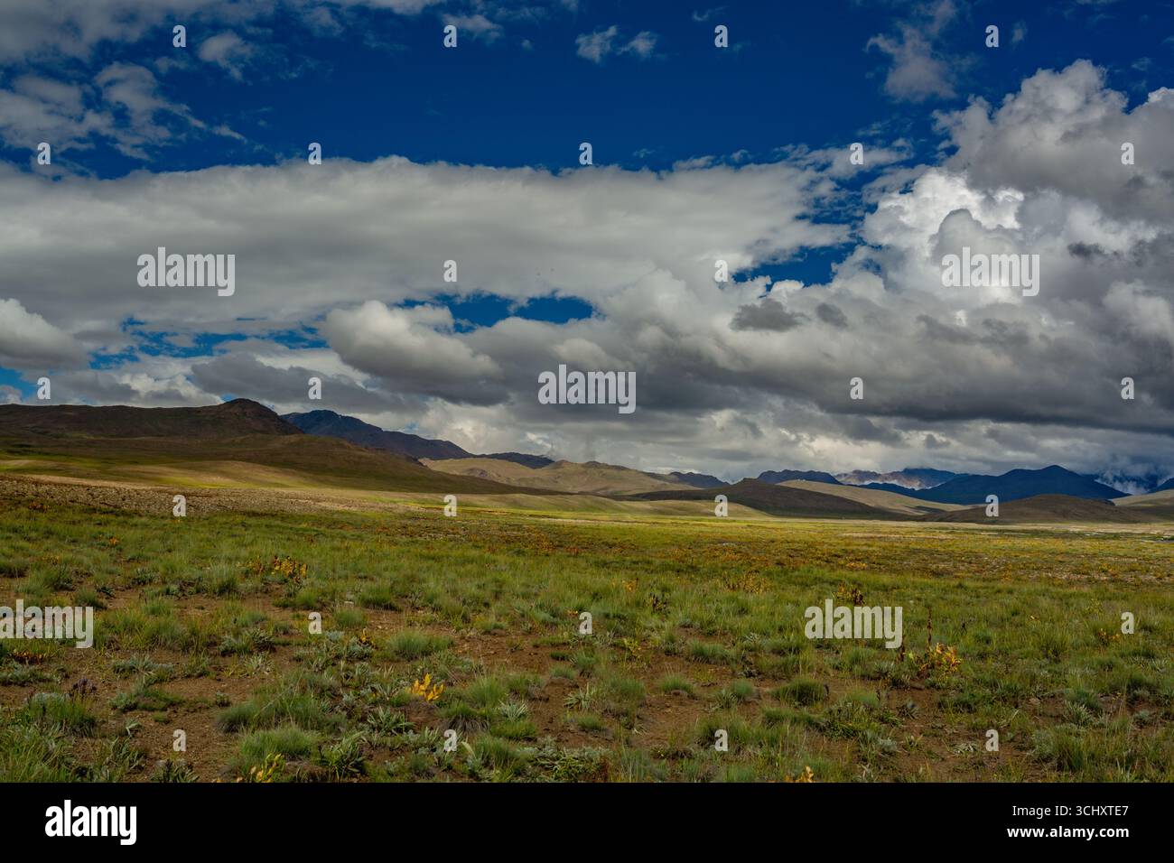 View of sun-kissed grasslands meet distant mountains under a dynamic ...