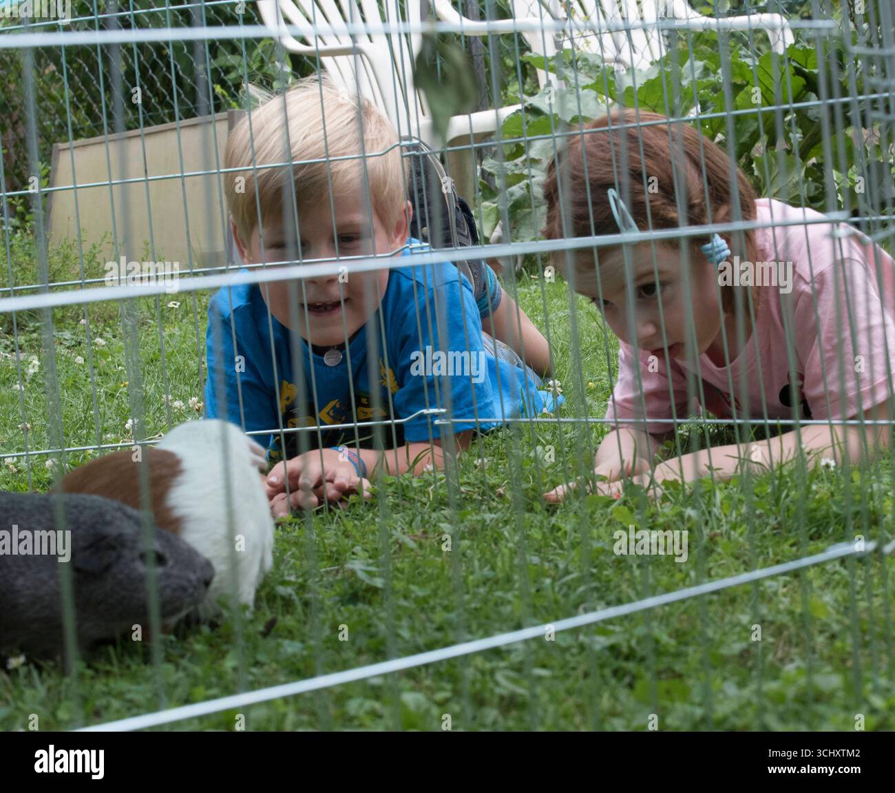 siblings growing up together in childhood as part of family siblings ...