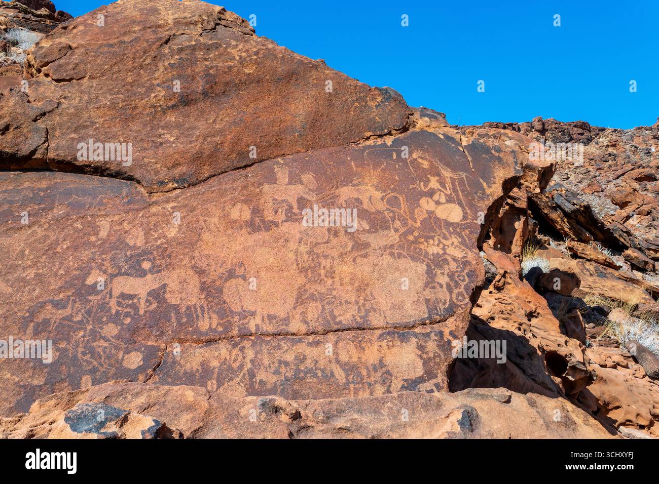 Rock engravings, ancient petroglyphs of animals at Twyfelfontein ...