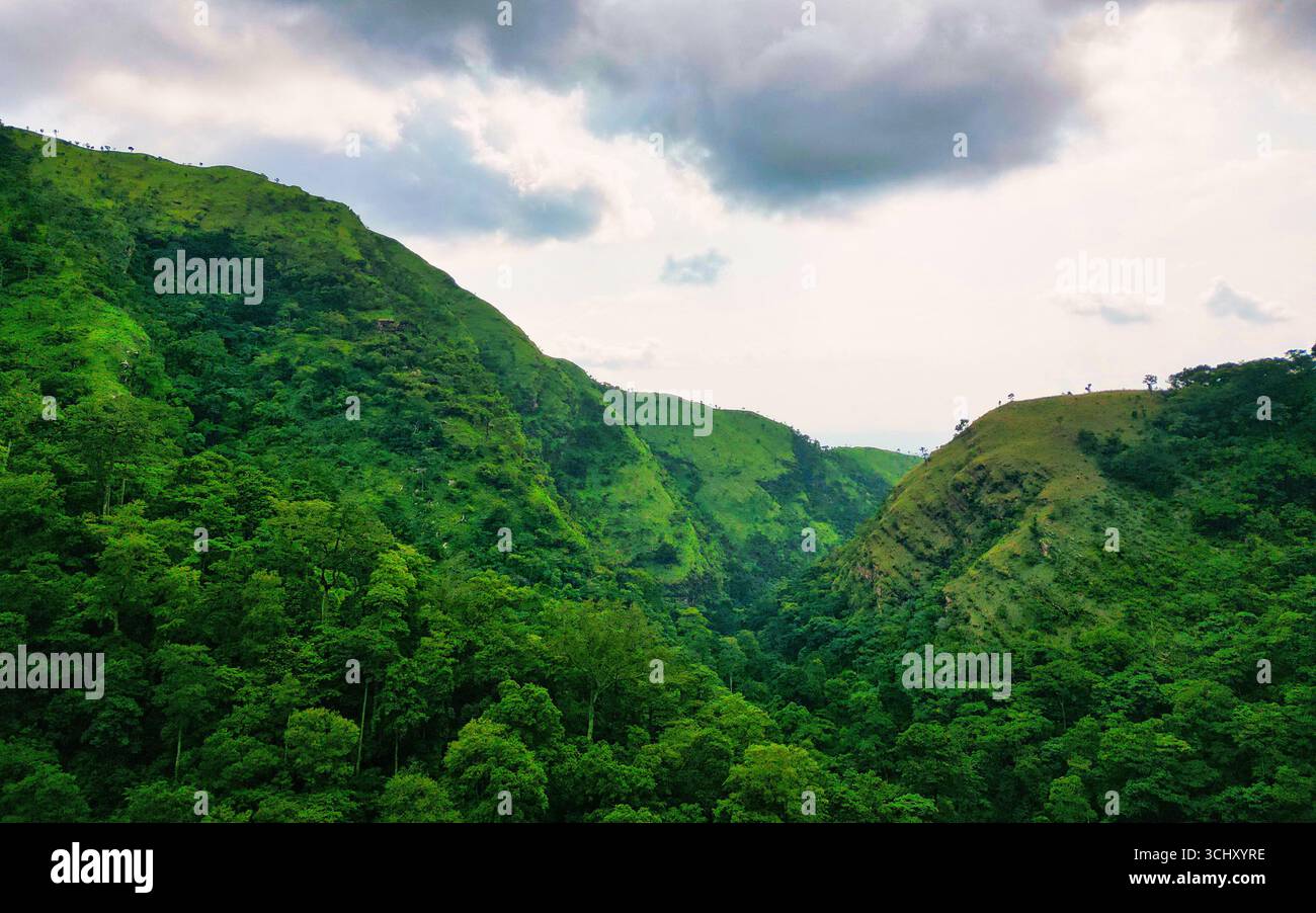 Aerial view of verdant slopes and dense forest canopy merging towards ...