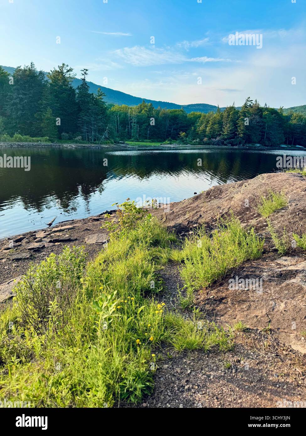 mountain peak and tree view. North South Lake Campground in the ...