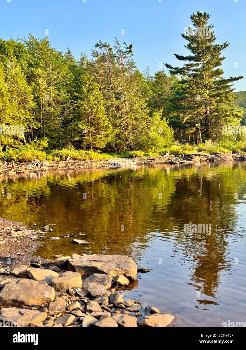 mountain peak and tree view. North South Lake Campground in the ...