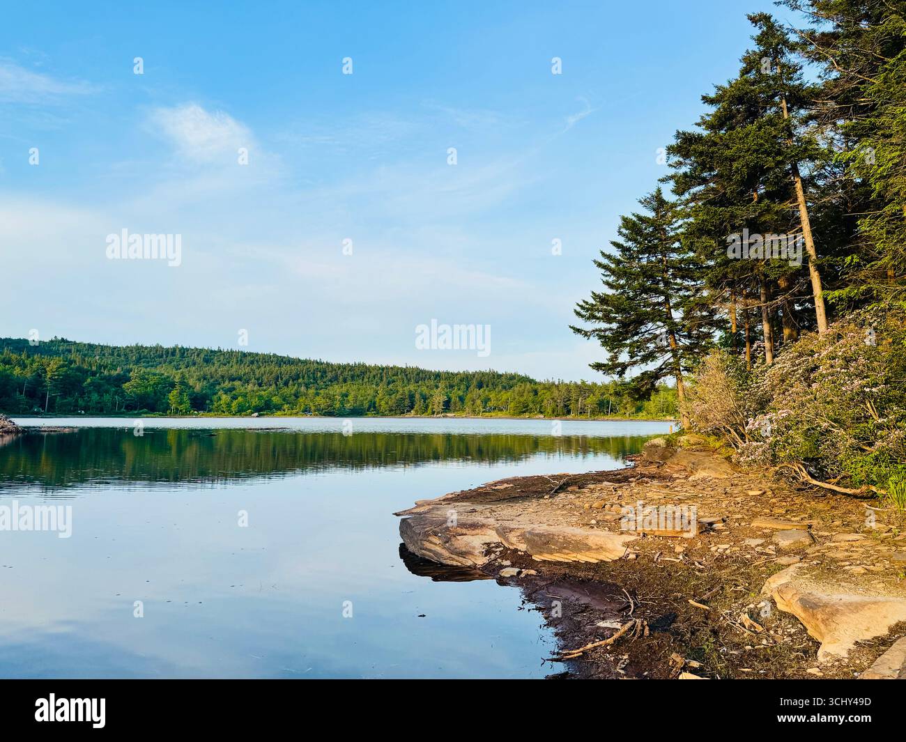mountain peak and tree view. North South Lake Campground in the ...
