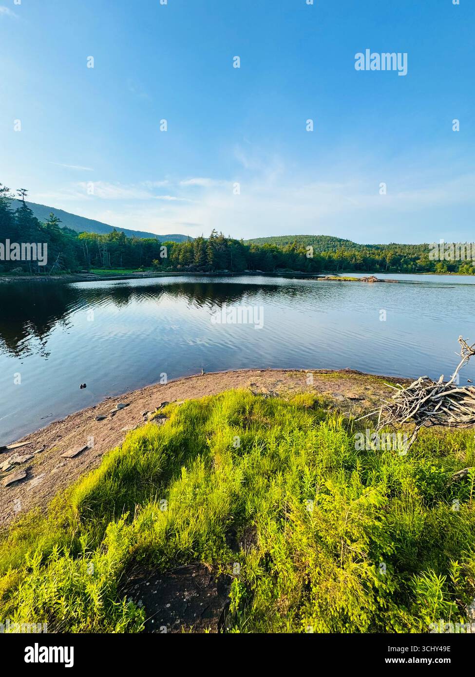 mountain peak and tree view. North South Lake Campground in the ...