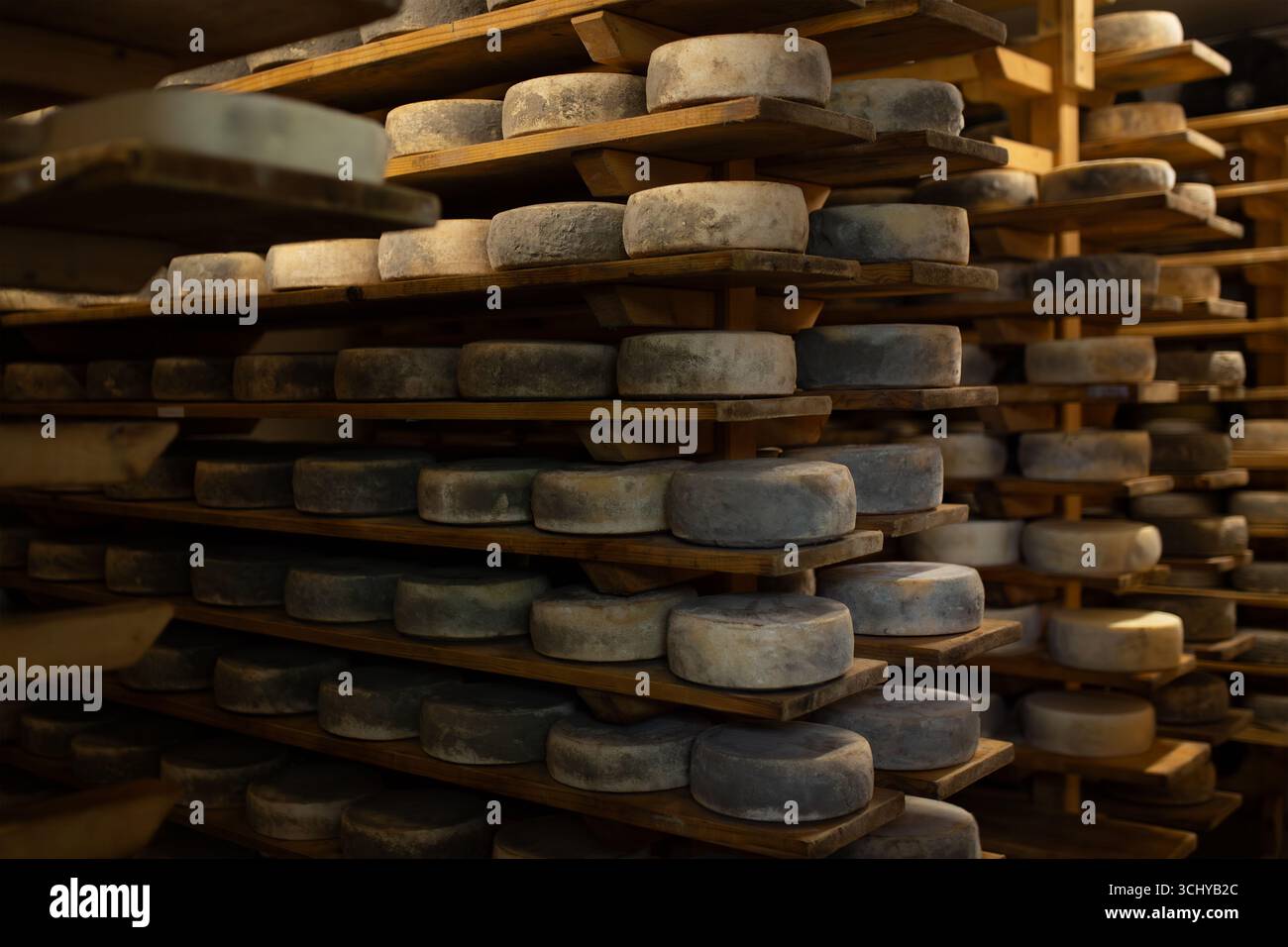 A large wooden rack filled with wheels of artisan cheese aging in a ...