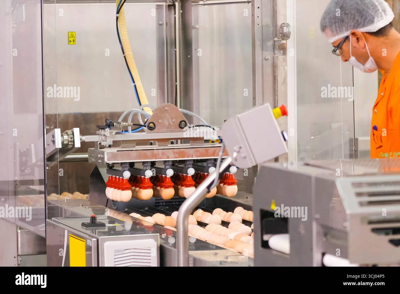 Chicken eggs on conveyor line at egg packing factory Stock Photo - Alamy