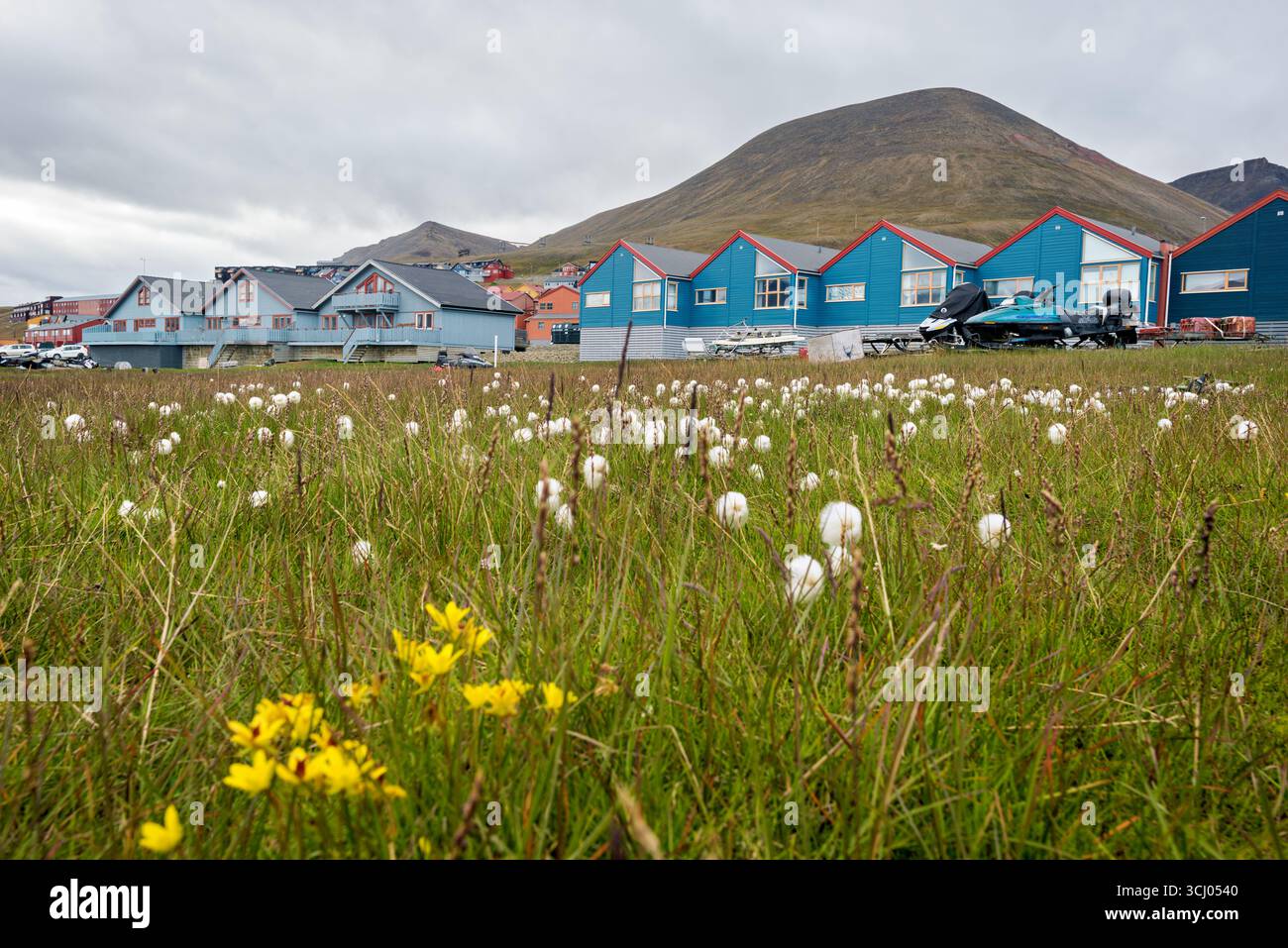 Longyearbyen svalbard arctic cotton hi-res stock photography and images ...
