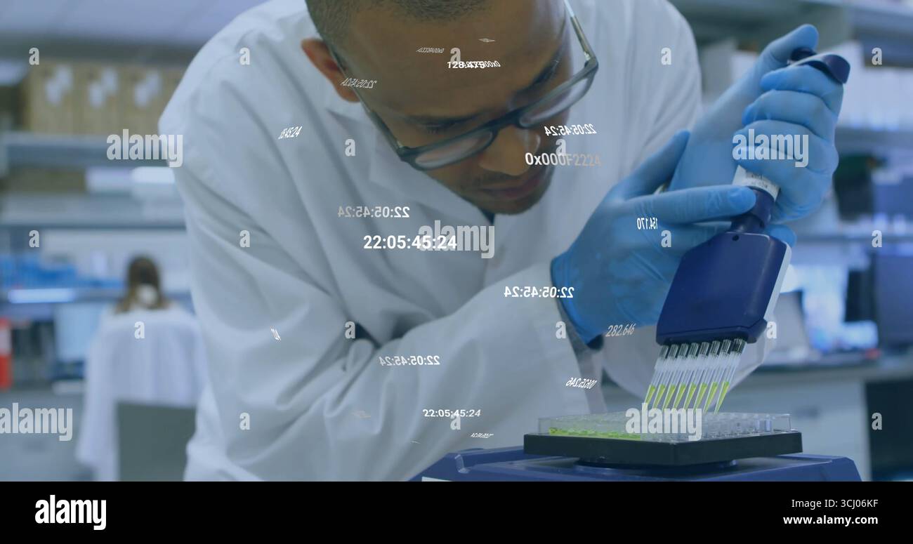 Dispensing lab scientist wearing coat and gloves pipetting into 96-well ...