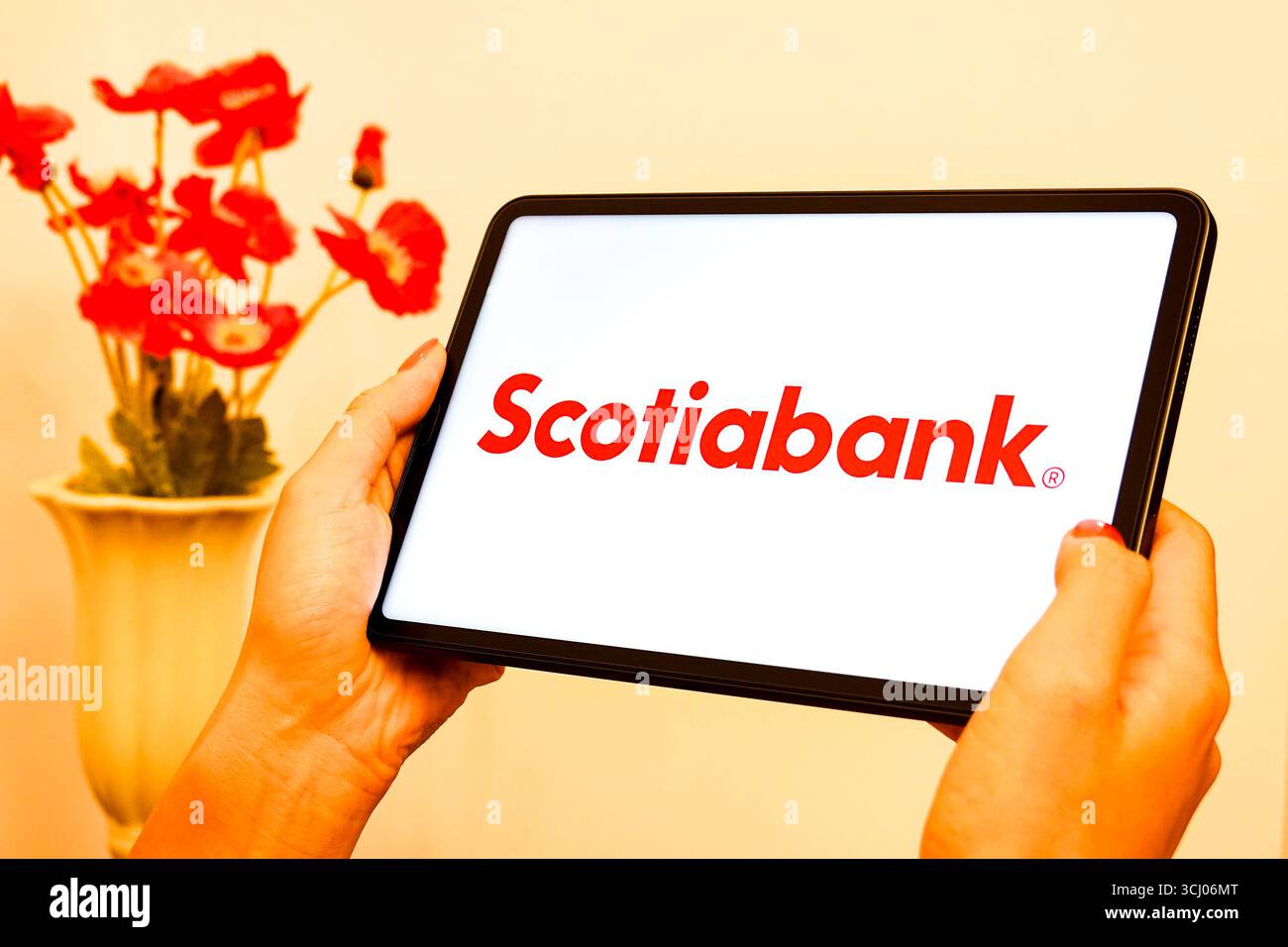 In this photo illustration, the logo of Scotiabank is displayed on the ...