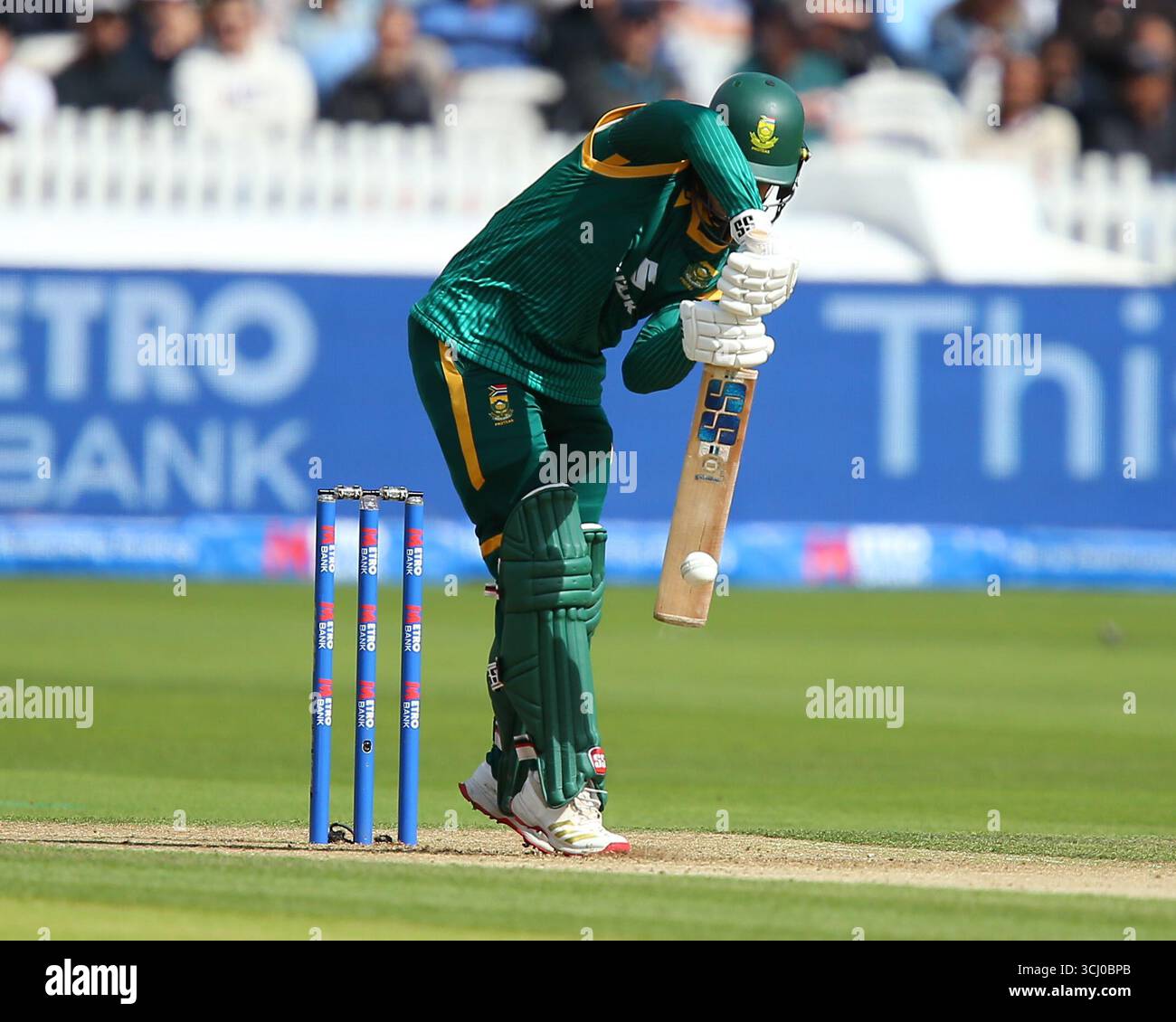 Ryan rickelton hi-res stock photography and images - Alamy